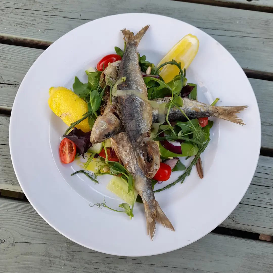 The Dolphin, Pub & Restaurant, Combe Martin, Devon – A Family Friendly ...